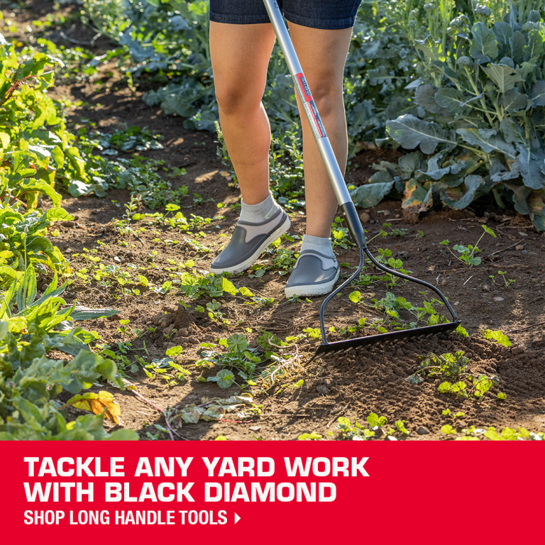 Contact Us – Black-Diamond